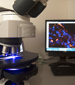 Molecular Pathology & Cytogenomics | Cleveland Clinic Laboratories